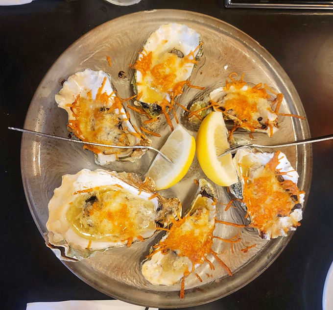 Parmesan-baked oysters transform humble mollusks into golden treasures that would impress any seafood skeptic.