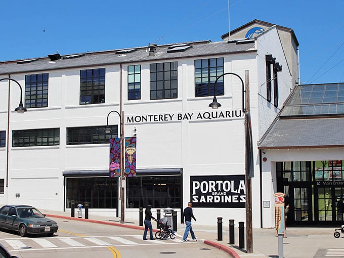 The Monterey Bay Aquarium's industrial exterior belies the underwater wonderland within. Former sardine factory, current home to ocean magic.