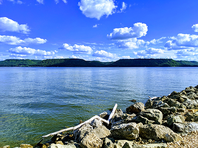 Pepin's marina under impossibly blue skies &ndash; where boats stand at attention like eager puppies waiting for their next adventure on Lake Pepin.