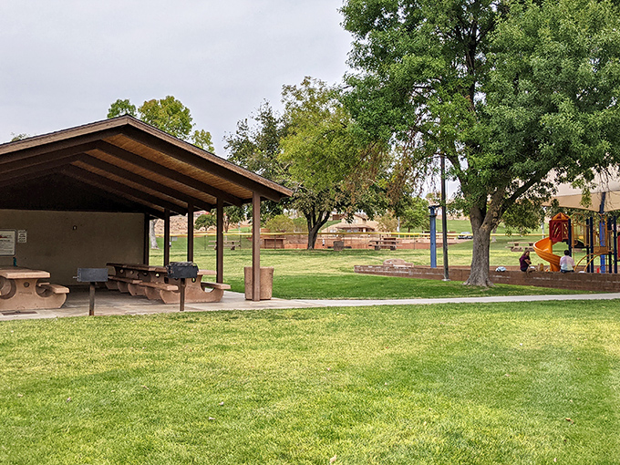 Pioneer Park's shaded picnic areas and playground equipment offer respite from the desert sun &ndash; community gathering at its most practical.