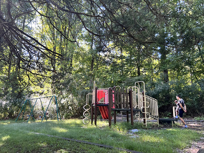 A playground where childhood meets wilderness. Even the jungle gym seems to have found its perfect natural habitat.