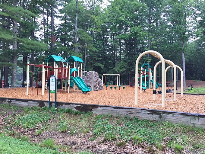 Even in the wilderness, kids need to be kids&mdash;this playground provides the perfect intermission between hiking adventures and marshmallow roasting.