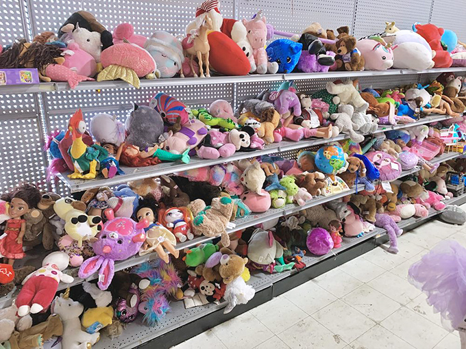 Stuffed animal kingdom where forgotten plush friends await adoption. That unicorn might just be the missing piece in someone's collection.
