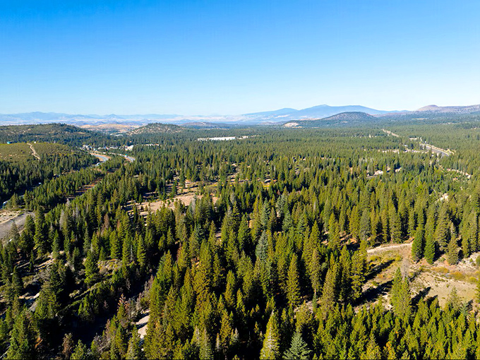 Surrounded by endless Ponderosa pines, Weed residents enjoy nature's air purification system and the soundtrack of wind through trees rather than highway traffic.