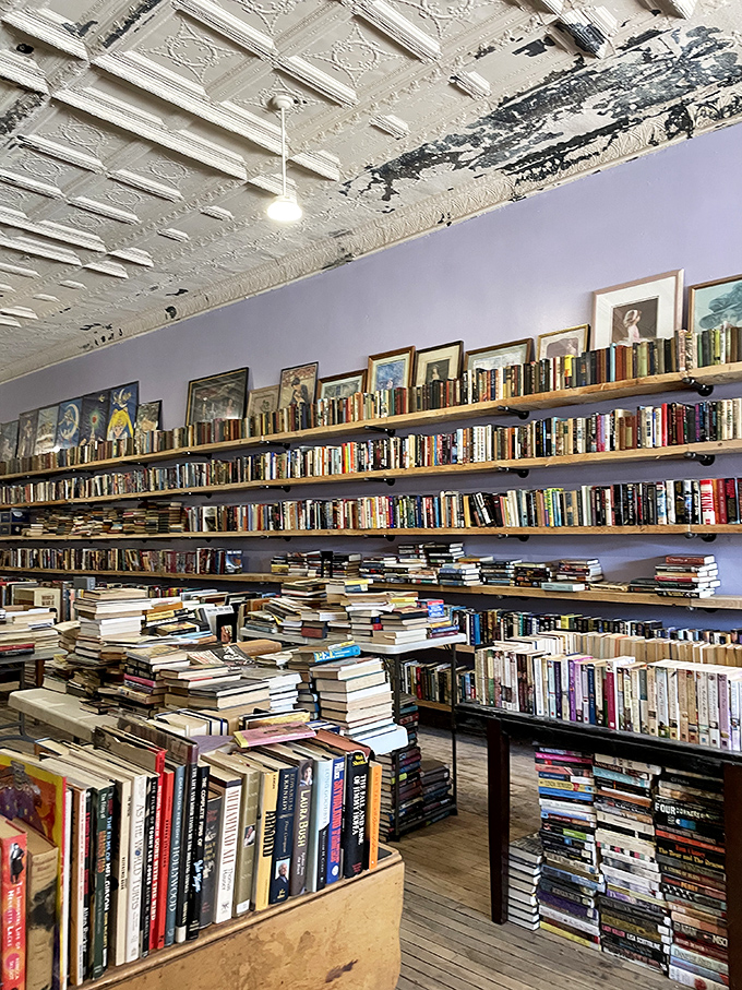 Pretty Good Books is actually pretty fantastic&mdash;a bibliophile's dream where ceiling-high shelves promise literary treasures at small-town prices.