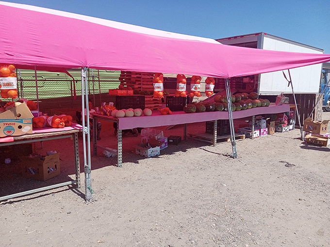 Under the pink canopy, a produce paradise awaits&mdash;where melons and mangoes bask in the Eastern Washington sunshine like sunbathers.