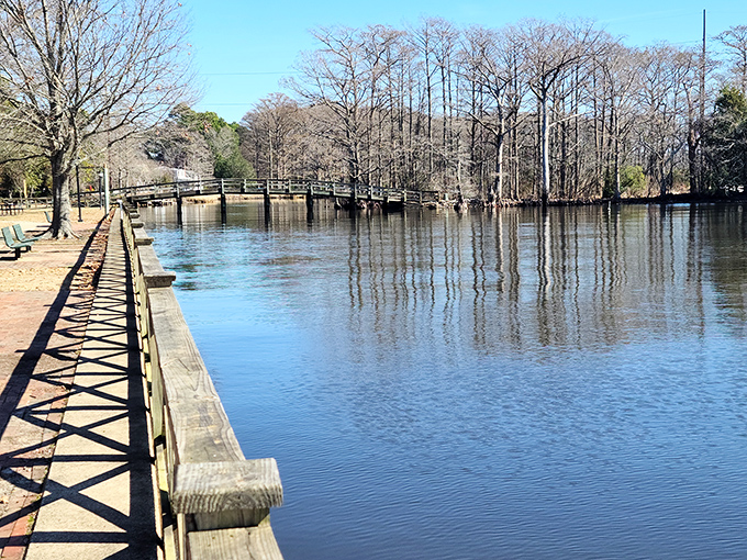 Queen Anne Park's playground proves that even in a historic town, there's always room for the joyful sounds of childhood. History meets hopscotch in perfect harmony.