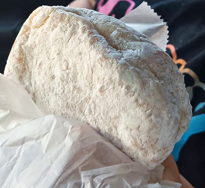 This powdered raspberry-filled donut isn't playing around—it's the kind of serious indulgence that requires both napkins and a moment of silence.