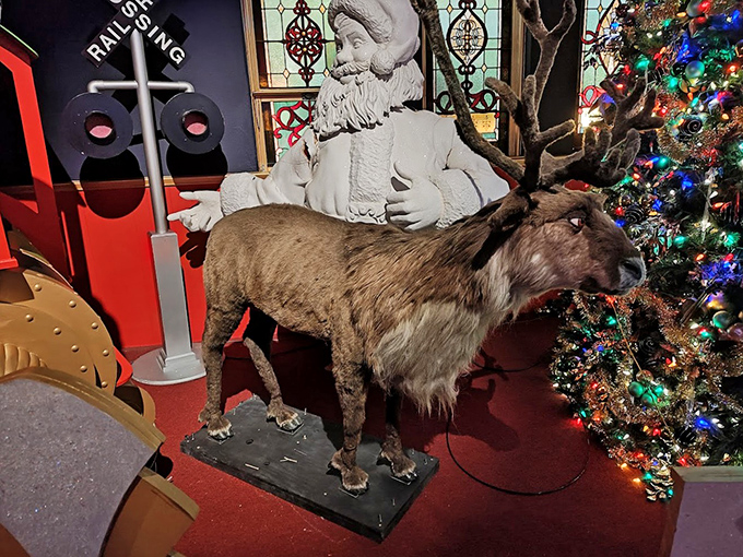 This reindeer display proves Santa's transportation team is ready for action. Rudolph's probably just stepped out for a quick nose polish before the big night.