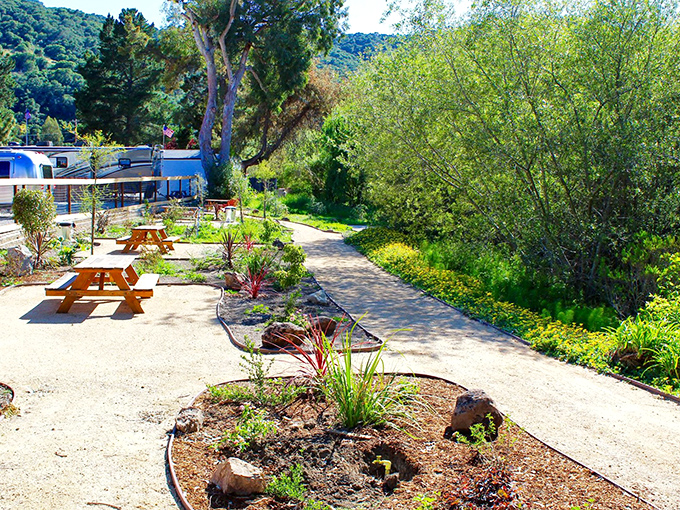 Nature meets nurture at this peaceful spot along the trail, where picnic tables invite you to pause and soak in the Central Coast serenity.