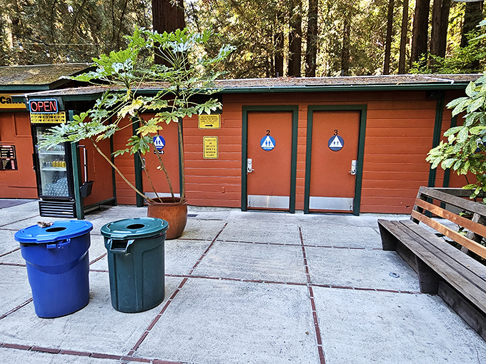Even the restrooms maintain the attraction's rustic charm. When nature calls in nature, at least you won't have to worry about which way is up!
