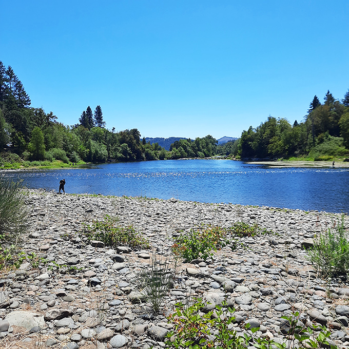 The Umpqua River's gentle shores invite contemplation, fishing, or simply watching the water flow by &ndash; nature's therapy session at no charge.