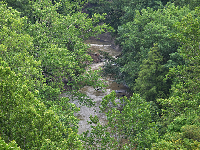Tinker's Creek weaves through the valley like a silver ribbon, gift-wrapping this lush green paradise for visitors.