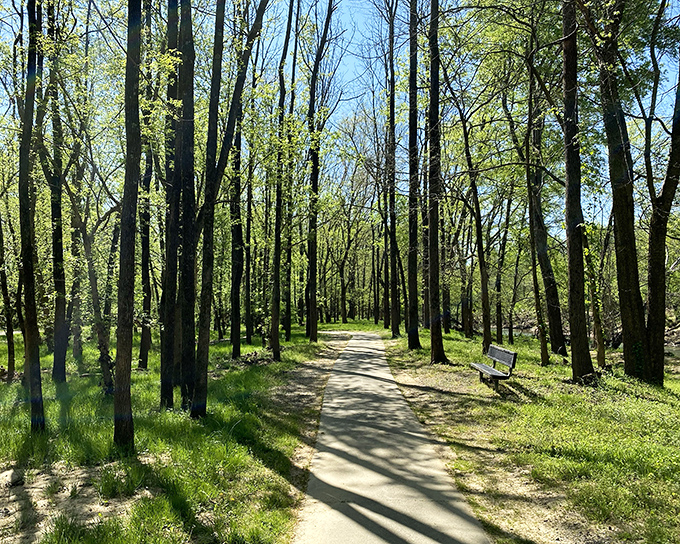 Sunlight dapples through spring foliage, creating nature's stained glass along this serene section of Riverwalk Trail.