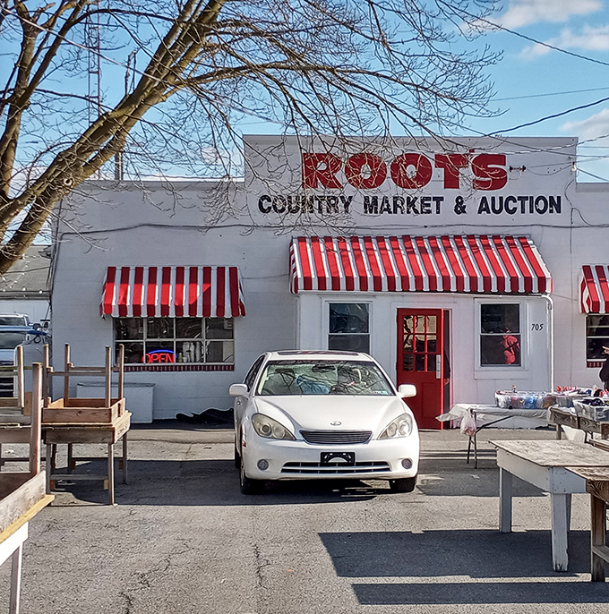 The iconic Root's Country Market & Auction building stands as a beacon for bargain hunters, its red-and-white awnings waving hello.