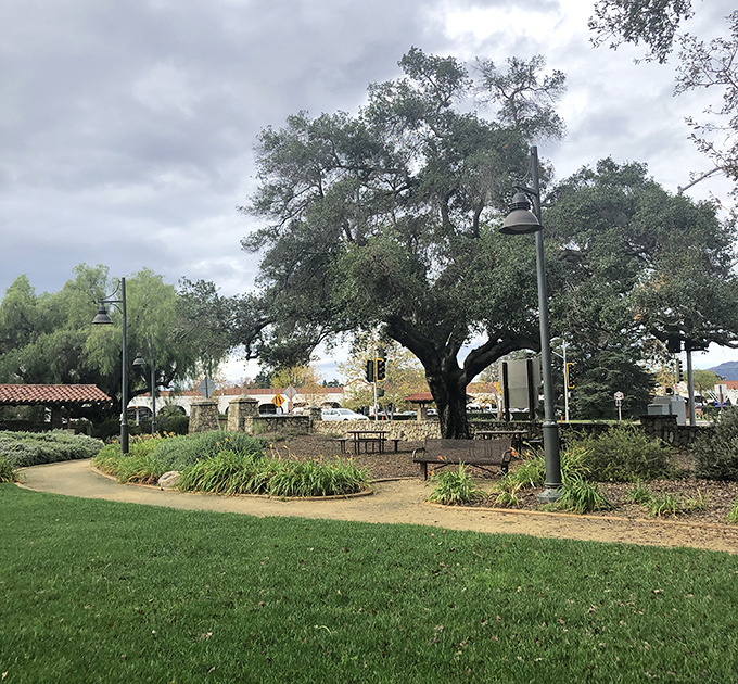 Beneath Ojai's ancient oak trees, Rotary Community Park offers shady respite that feels like stepping into a more civilized, gentler California.