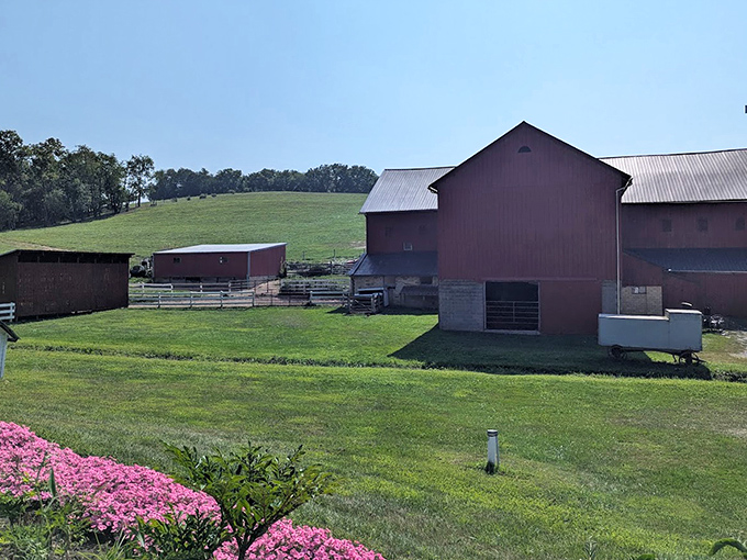 Barns, fields, and sky&mdash;the original three-color palette that somehow never goes out of style.