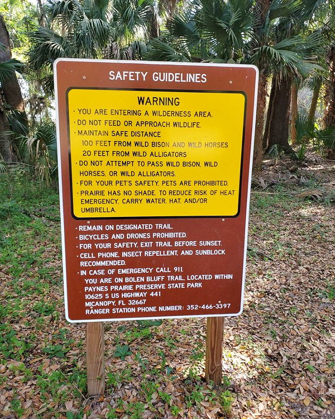 The safety sign that basically says, "Nature is not a petting zoo." Keep your distance from wildlife unless you want to star in Florida's next viral video.