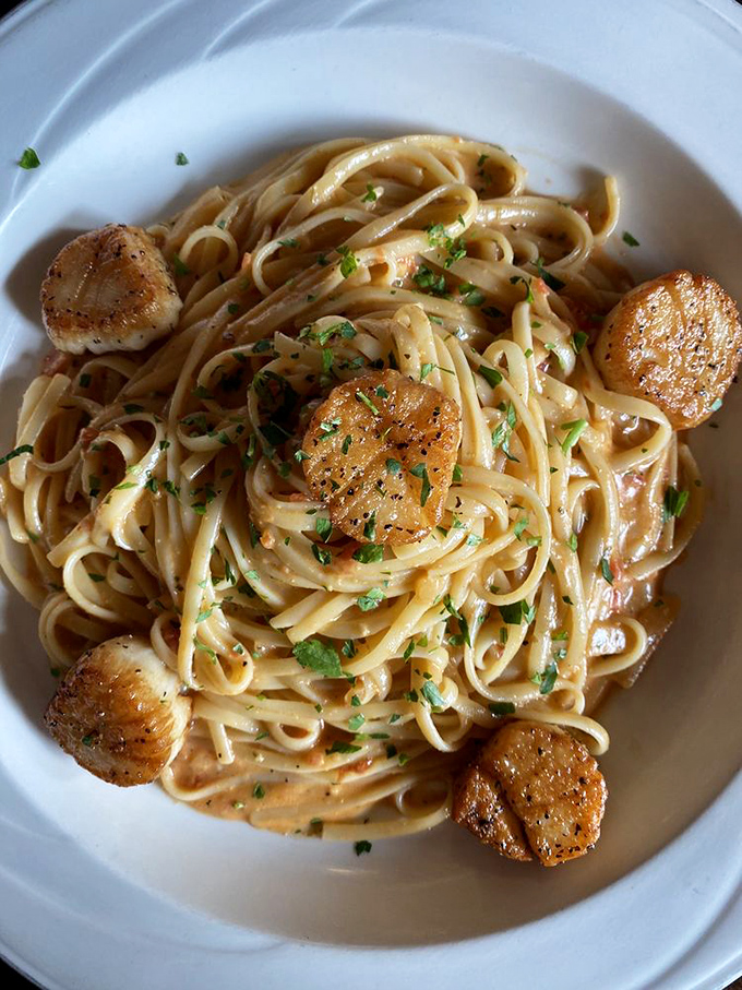 Scallops and pasta dancing in perfect harmony&mdash;each bite offering that sweet, caramelized edge that seafood dreams are made of.