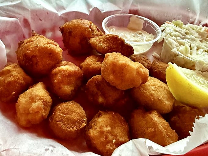 Golden-fried scallops that pop with sweetness inside their crispy armor. The kind of seafood that makes you wonder why you ever eat anything else.