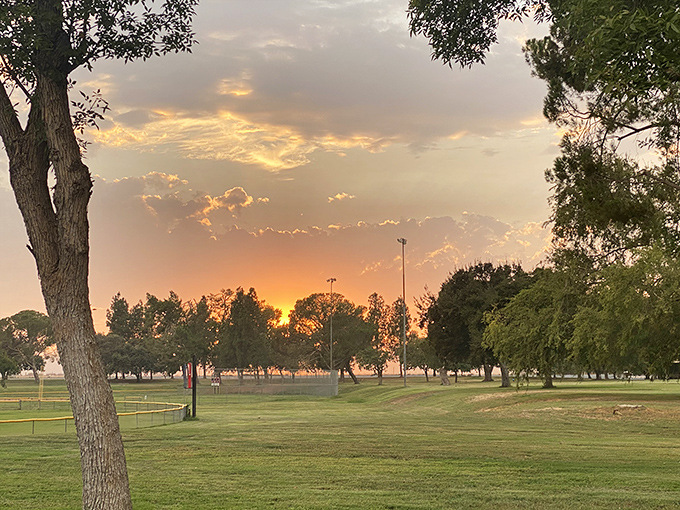 Schmidt Park's sunset transforms ordinary grass and trees into a California masterpiece that doesn't require a museum ticket or Instagram filter.
