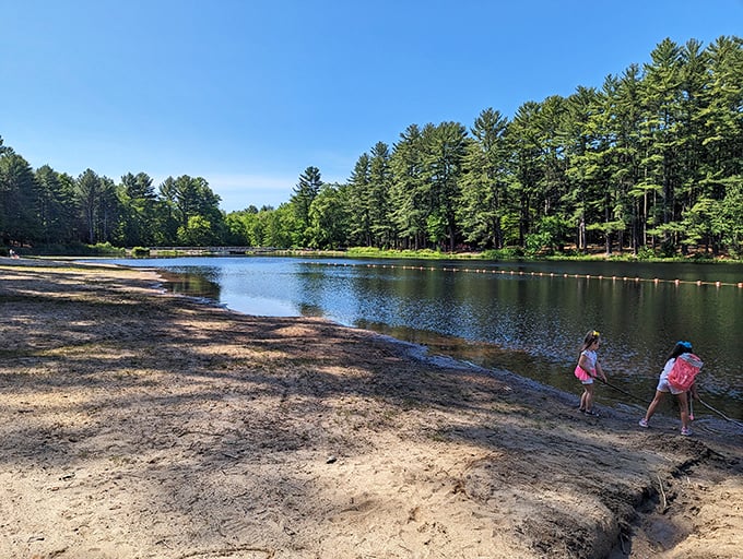 Summer's perfect equation: sandy shores + crystal waters + towering pines = childhood memories in the making.