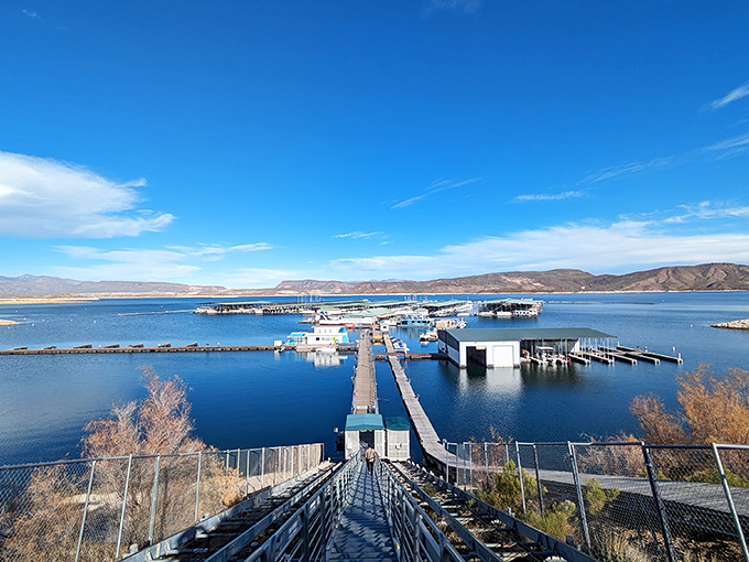 Not just a marina, but a gateway to adventure. Scorpion Bay's facilities make Lake Pleasant accessible for boaters of every experience level.