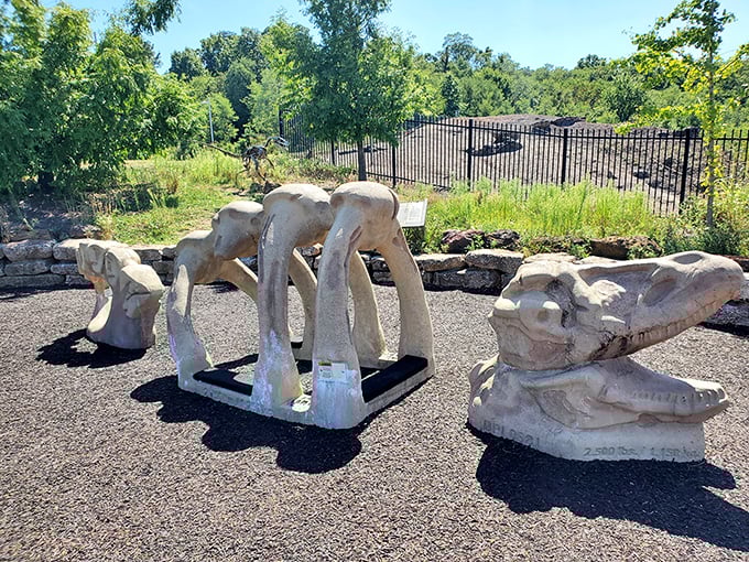 These impressive bone sculptures give visitors perspective on the massive creatures that once called Maryland home. Dinosaur puzzles solved!
