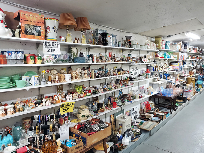Shelves packed with salt and pepper shakers, figurines, and knickknacks&mdash;each one someone's future "favorite find" story.