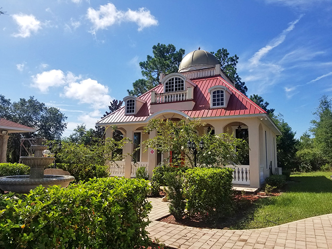 The Shirdi Sai Florida Center brings architectural diversity to Inverness with its distinctive dome and veranda &ndash; unexpected cultural richness in small-town Florida.