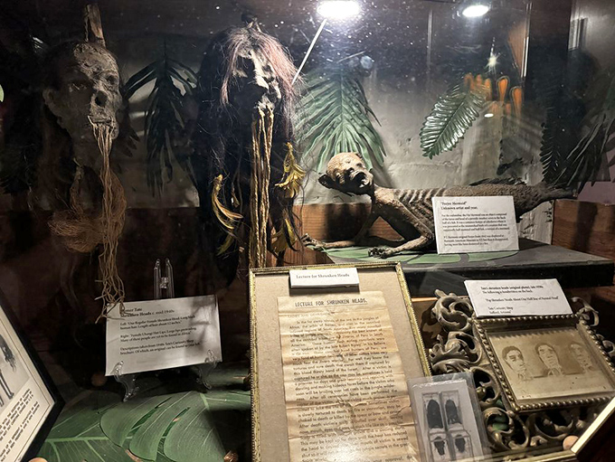 The museum's collection includes these preserved specimens and historical documents. The presentation walks a fine line between education and exploitation.