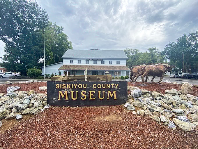 The Siskiyou County Museum announces itself with a sculpture of draft horses, a fitting tribute to the working animals that helped build this frontier town.