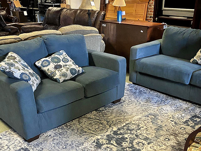These blue sofas aren't just furniture&mdash;they're adoption opportunities. Give them a loving home and they'll support you for years.