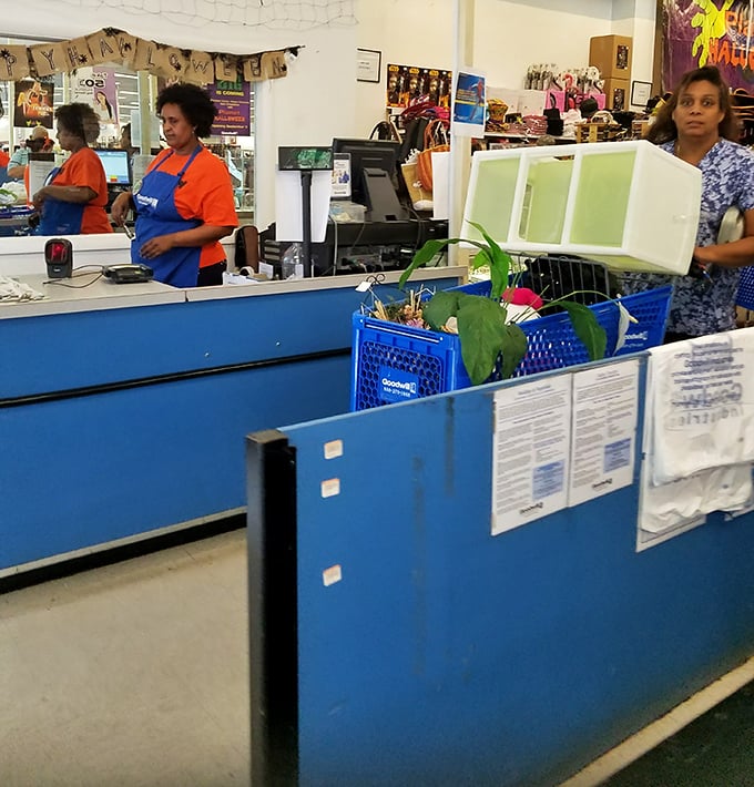 The unsung heroes of the thrift universe&mdash;staff who transform mountains of donations into this organized retail wonderland deserve a standing ovation.