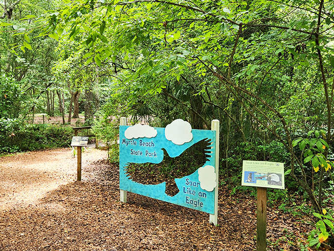 Even the sign looks like it's been on vacation, soaking up that Carolina sunshine for decades.