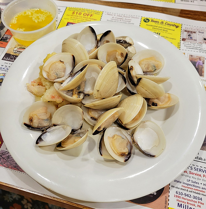 Fresh clams arranged like nature's jewelry box&mdash;oceanic treasures that somehow found their way to landlocked Pennsylvania, bringing coastal flavors to Amish country.