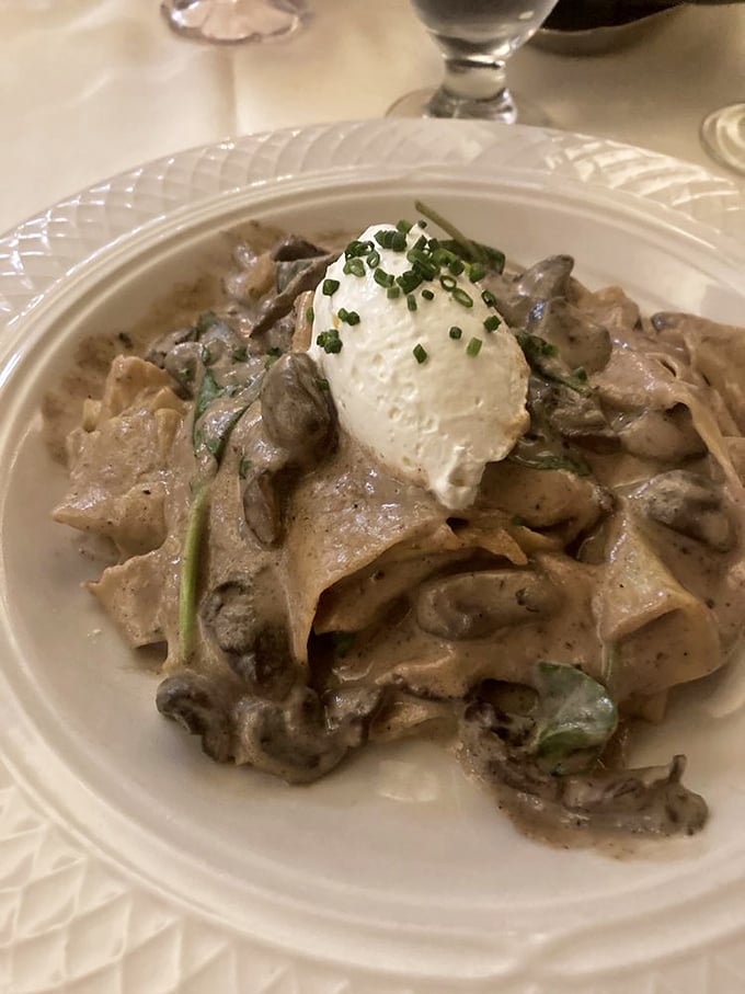 The mushroom stroganoff transforms humble ingredients into something worthy of white tablecloth status.
