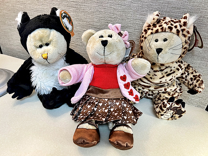 These plush companions are waiting for their second chance at love&mdash;the teddy bear in the middle is clearly the ringleader.