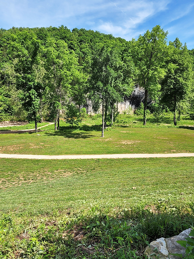 Summer at Echo Bluff paints with a palette of greens so vibrant, you'll swear they invented a new color just for this valley.