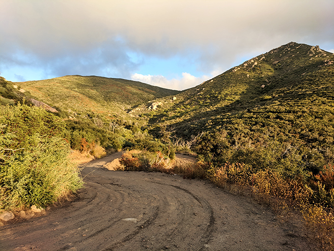 The park's winding dirt roads beckon adventurers, promising that whatever waits around the bend is worth the dust on your hiking boots.
