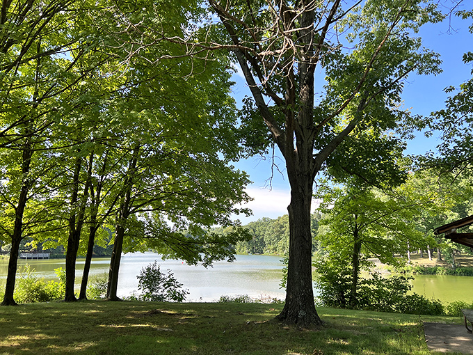 Summer shade by the water where time moves slower than dial-up internet.