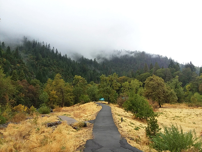 Misty mountain trails beckon hikers of all abilities. In Dunsmuir, "taking a walk" means communing with ancient forests, not circling a mall parking lot.
