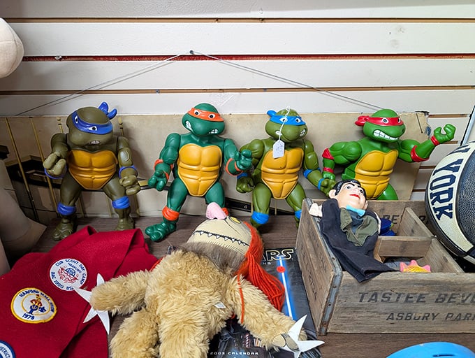 Heroes in a half shell, frozen in time! These vintage Ninja Turtles stand guard over childhood nostalgia that's worth way more than pizza money.