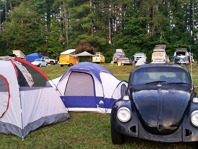 Camping meets cinema as tents pop up for the ultimate outdoor entertainment sleepover experience.