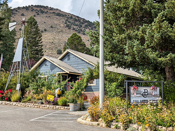 The Basin Cafe's garden oasis beckons with windmill charm and the promise of home-cooked comfort after a day of exploration.