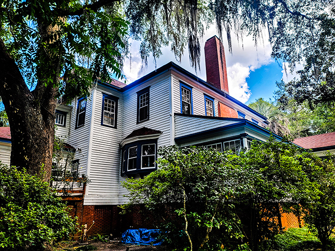 Under Spanish moss and Southern sky, this historic home captures the essence of Monticello living &ndash; gracious, unhurried, and draped in timeless charm.