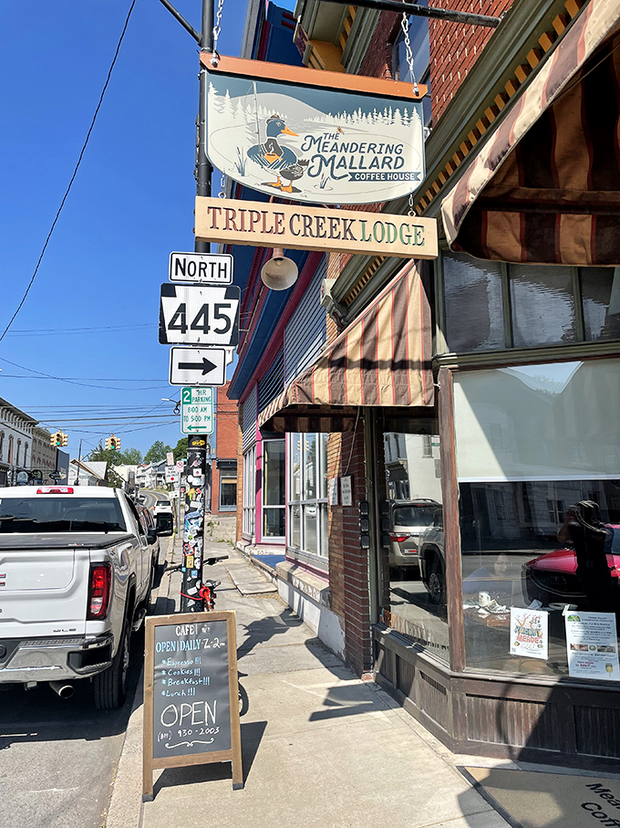 The Meandering Mallard Coffee House &ndash; where locals debate everything from politics to pie recipes over expertly pulled espresso.