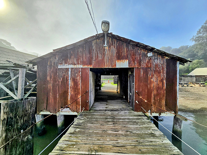 The old boathouse stands partially submerged, a portal between worlds where land meets water in a dance as old as time itself.