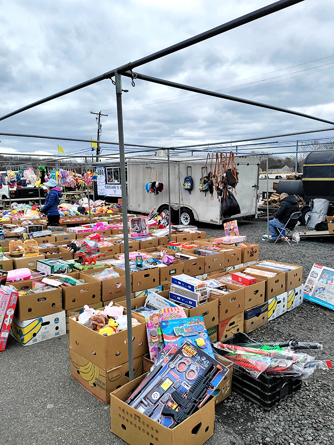 Cardboard boxes transformed into treasure chests of childhood joy—where parents dig for birthday gifts and collectors hunt for nostalgic gold.