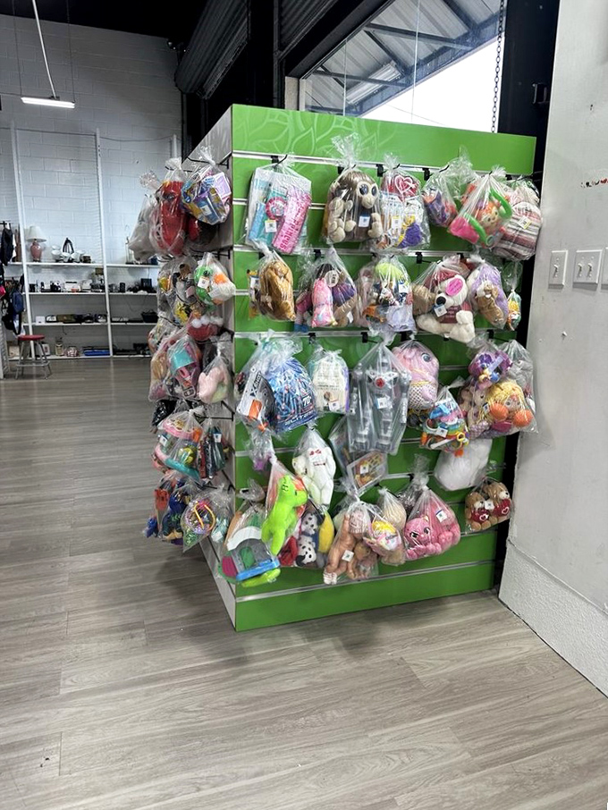 Bagged treasures for the little ones! These pre-packaged toy collections offer parents and grandparents an affordable way to delight children.